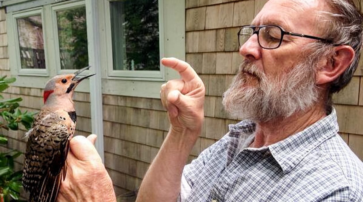 Banding Lab - Manomet