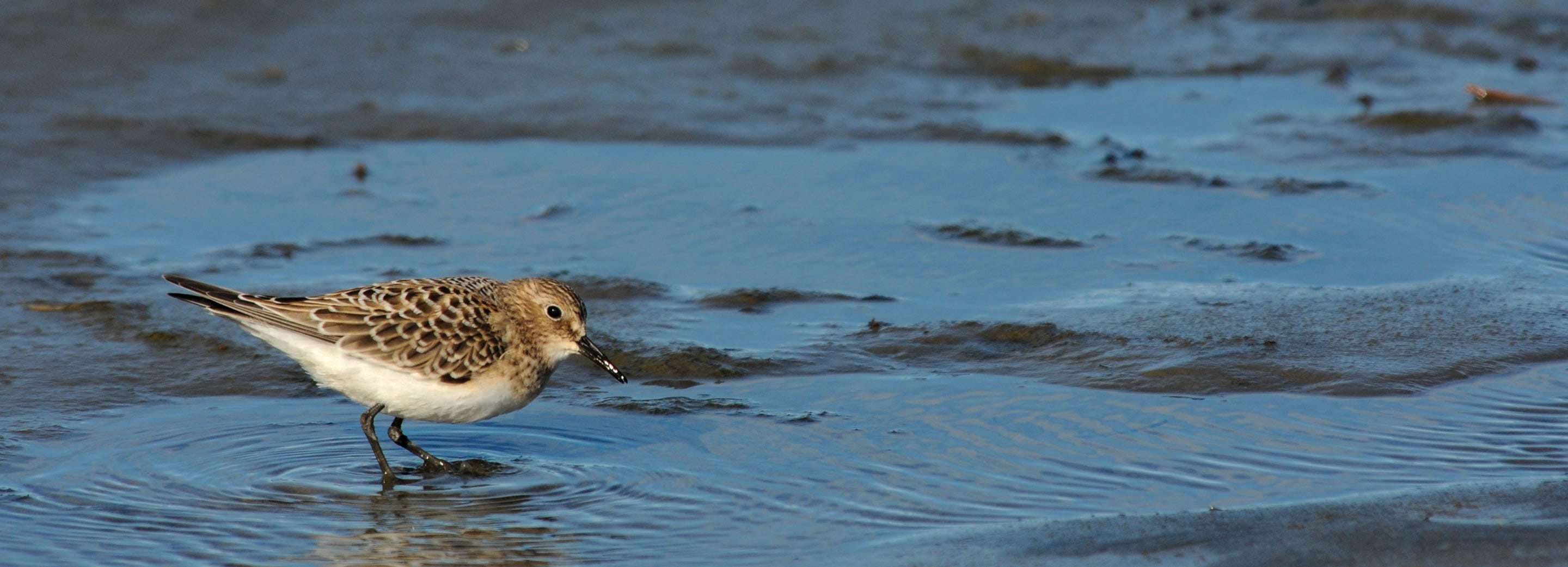Directions to Manomet - Manomet Conservation Sciences