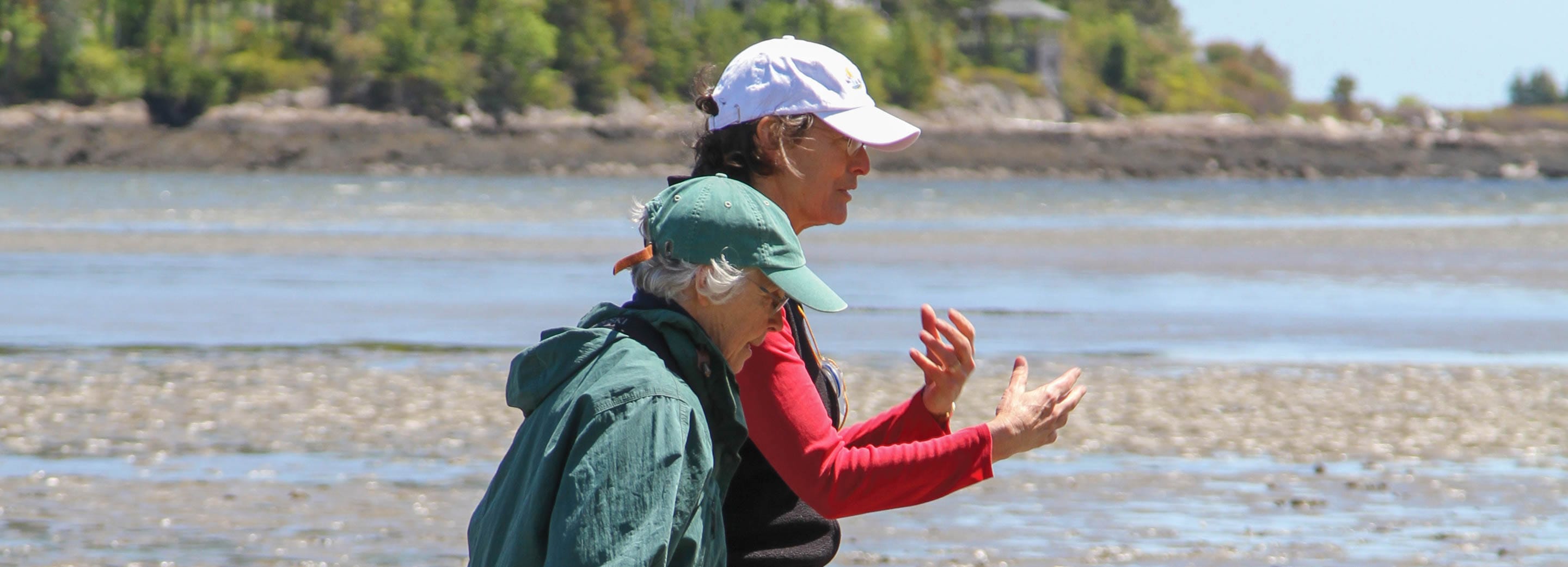 Manomet's Reach - Manomet Conservation Sciences