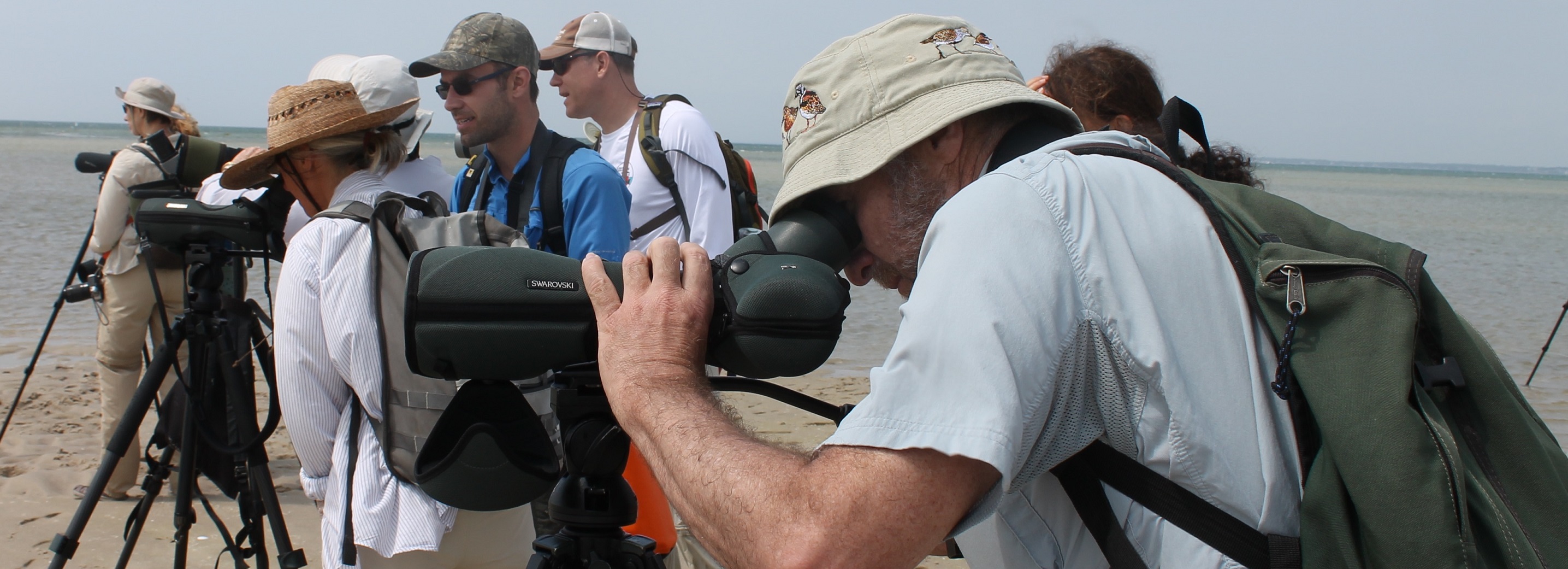 Manomet Publications - Manomet Conservation Sciences