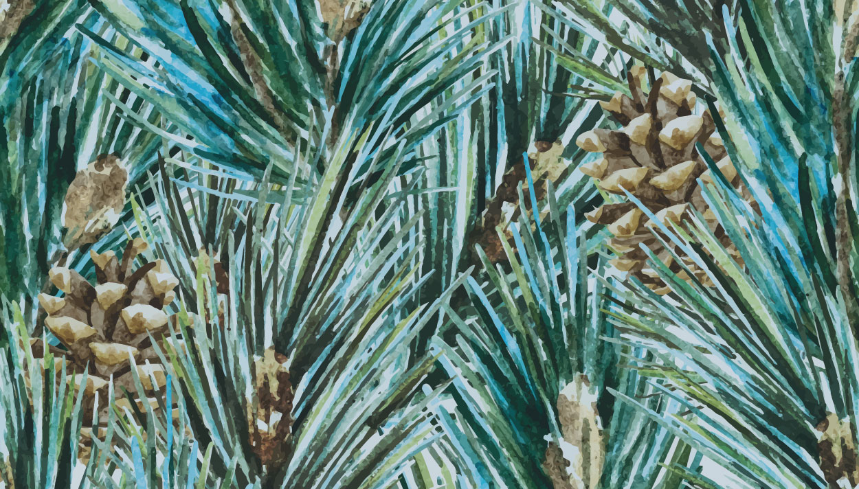 You make it possible! - Manomet Conservation Sciences