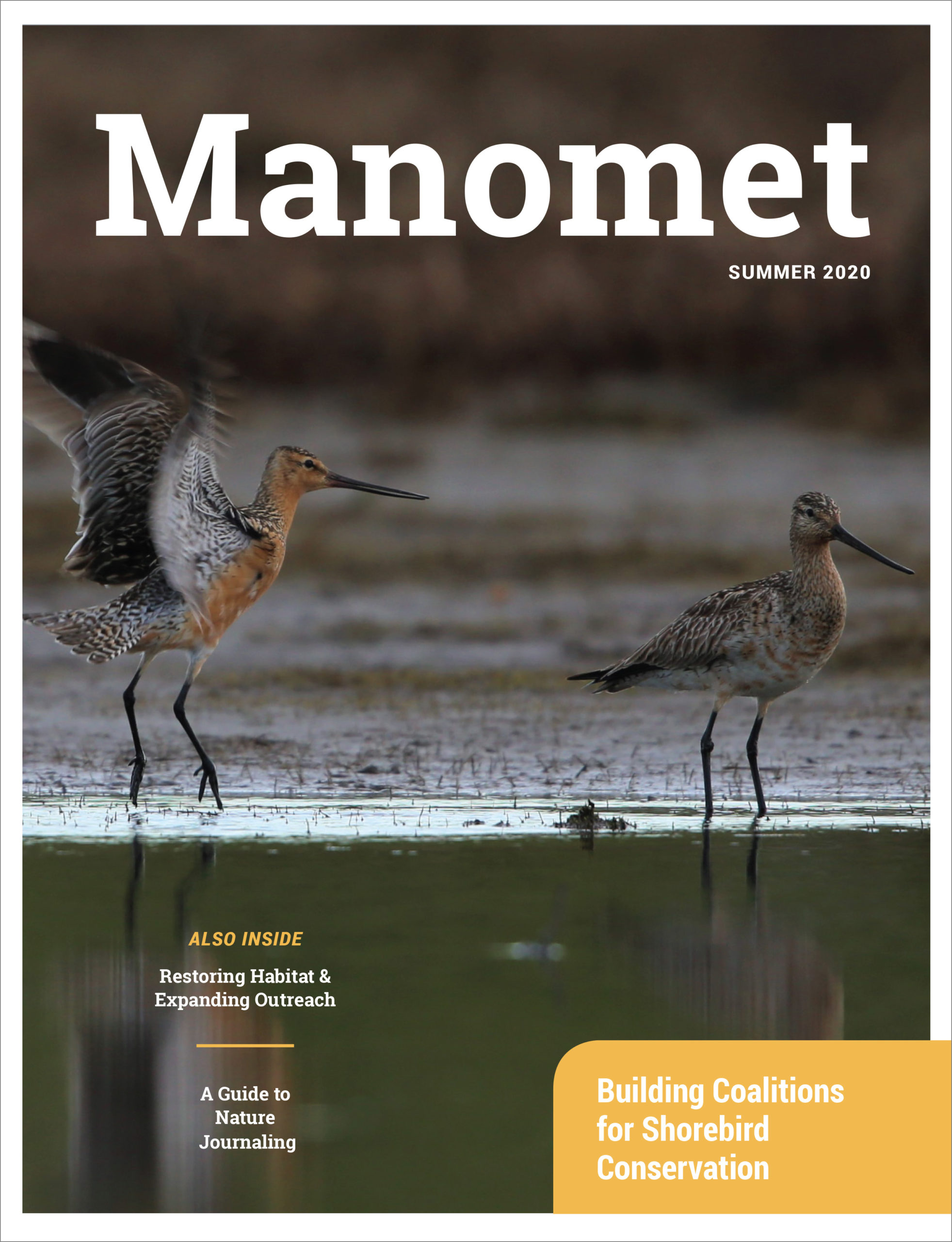 Summer 2020—Manomet Magazine - Manomet Conservation Sciences