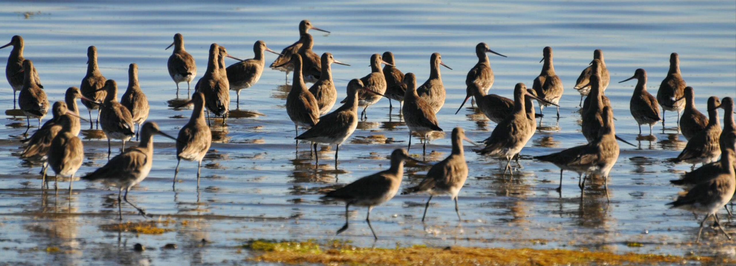 Support Us - Manomet Conservation Sciences