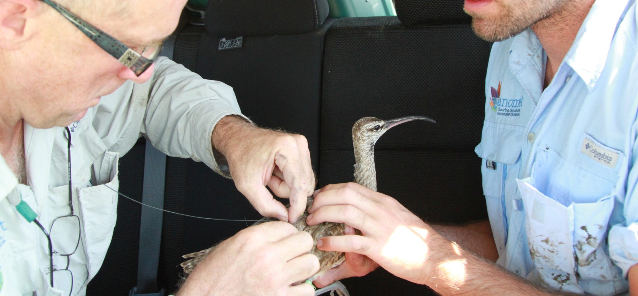 Science - Manomet Conservation Sciences
