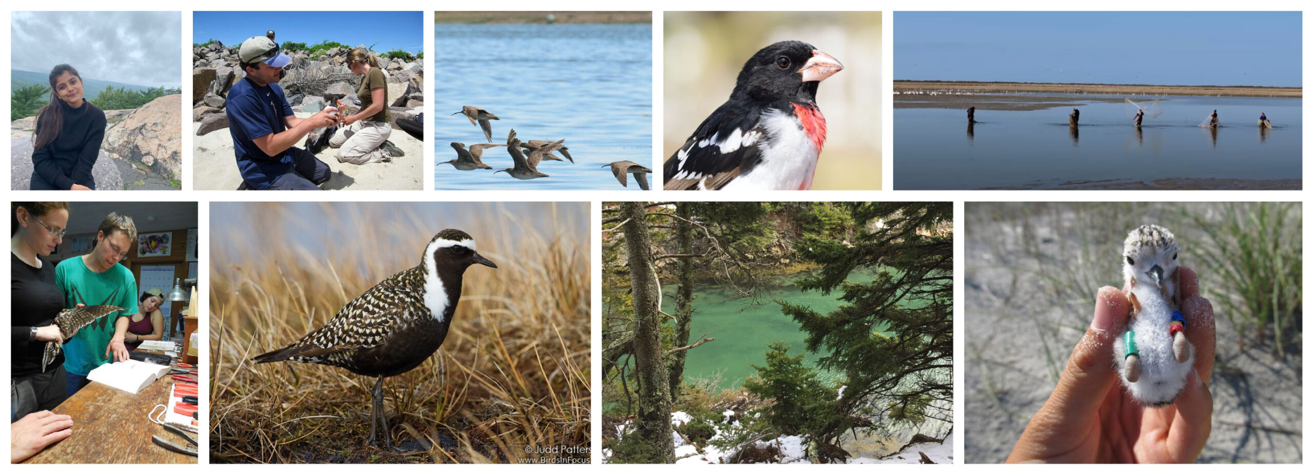 Webinars - Manomet Conservation Sciences