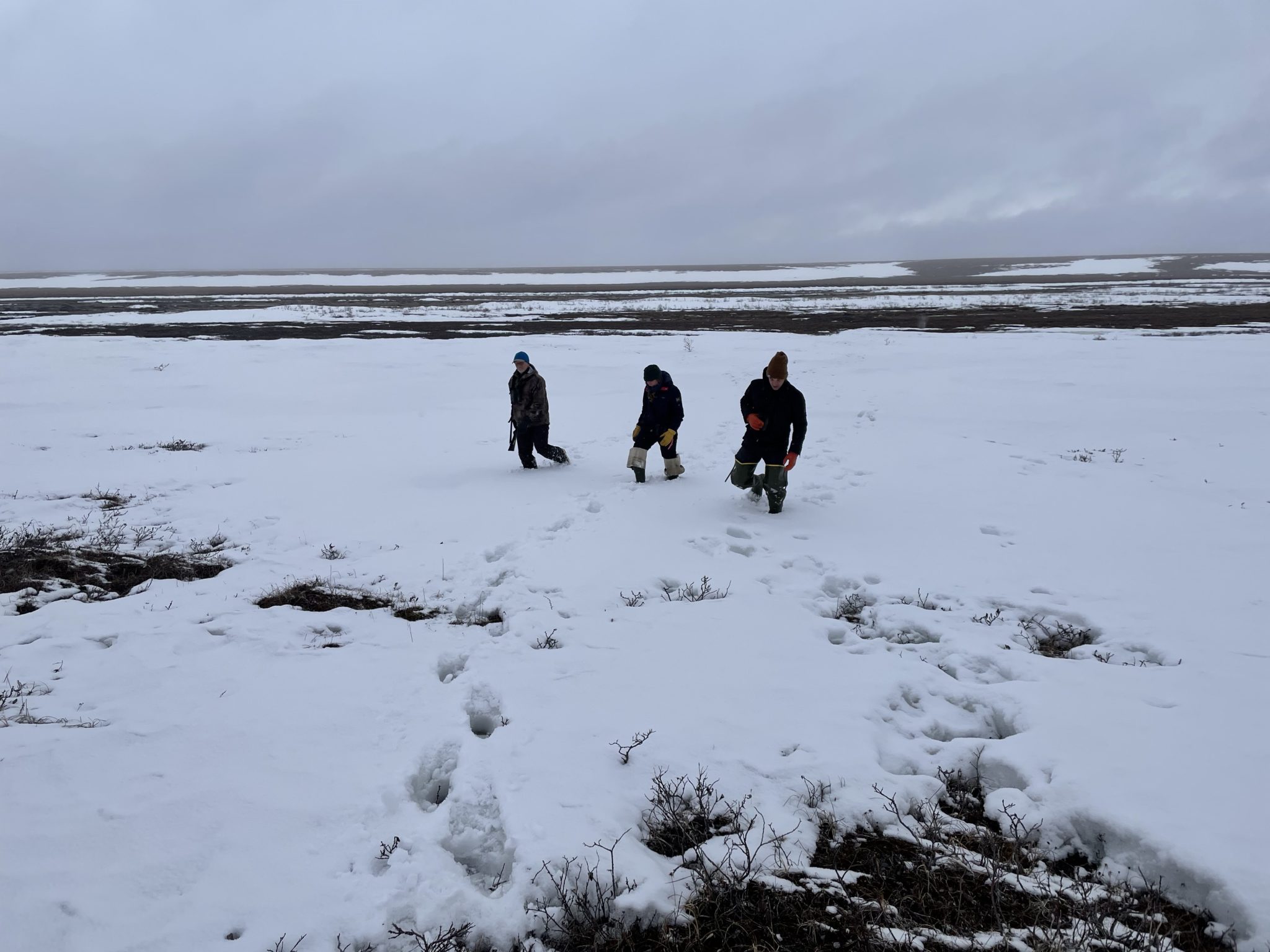 Arctic research team faces unprecedented conditions while monitoring ...