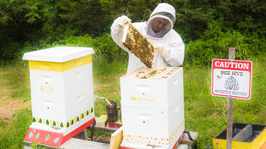 At Manomet's Plymouth headquarters, beekeeping provides educational ...