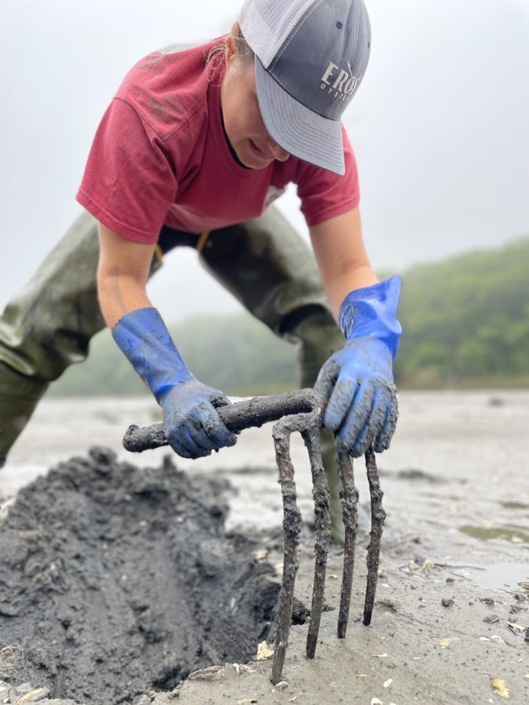 Manomet awarded new funding to study sea level rise impacts on Maine’s ...