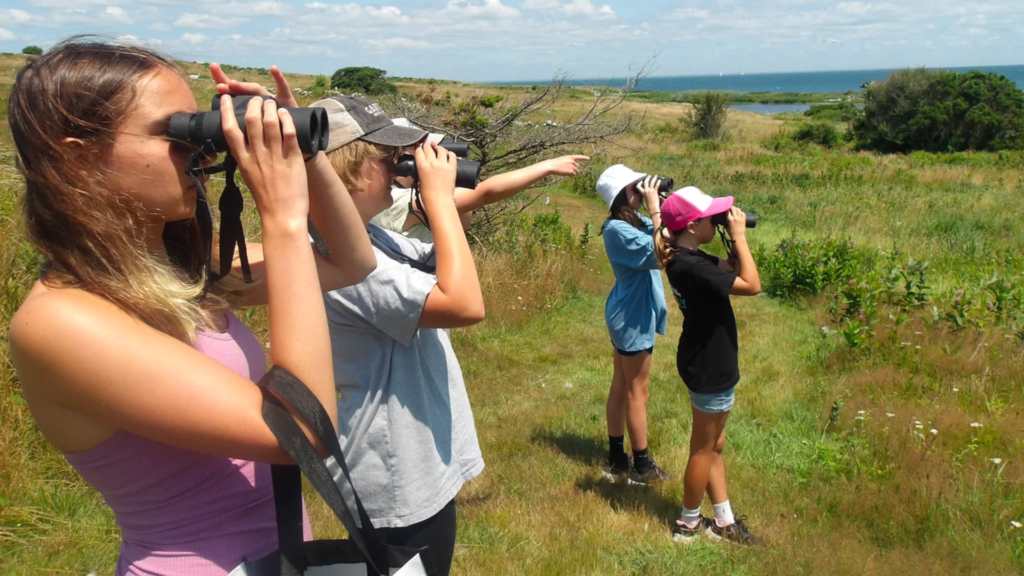 Penikese Birding Trip (Hosted by Penikese Island School) - Manomet ...