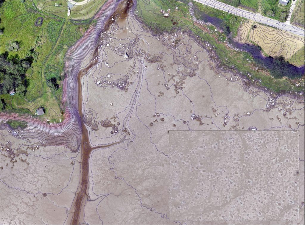 Participatory Mudflat Mapping - Manomet Conservation Sciences