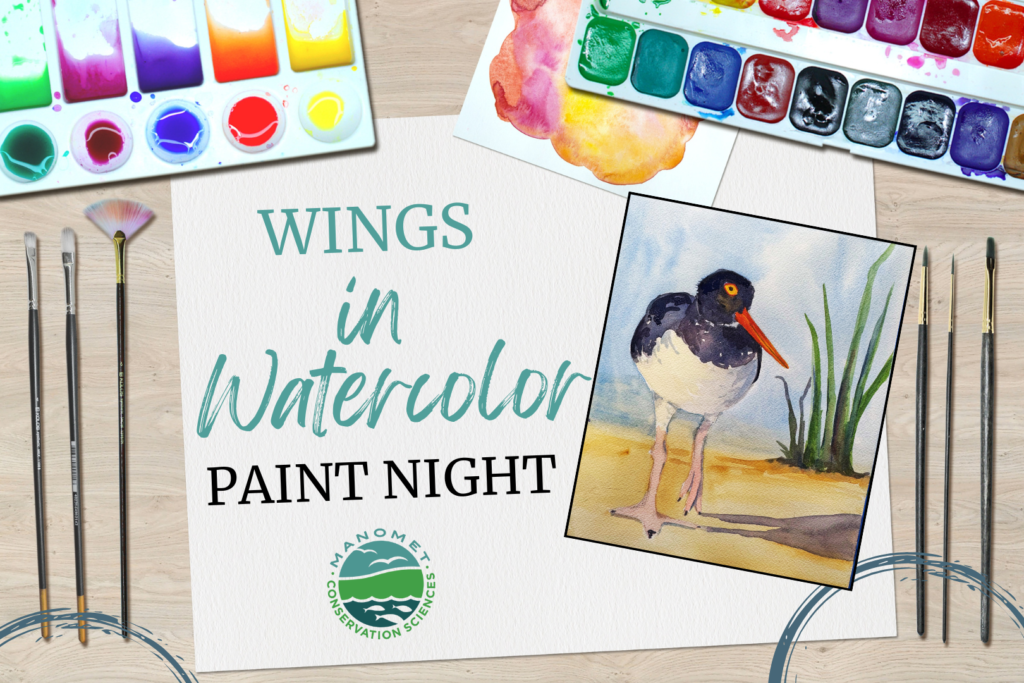 Wings in Watercolor Paint Night - Manomet Conservation Sciences