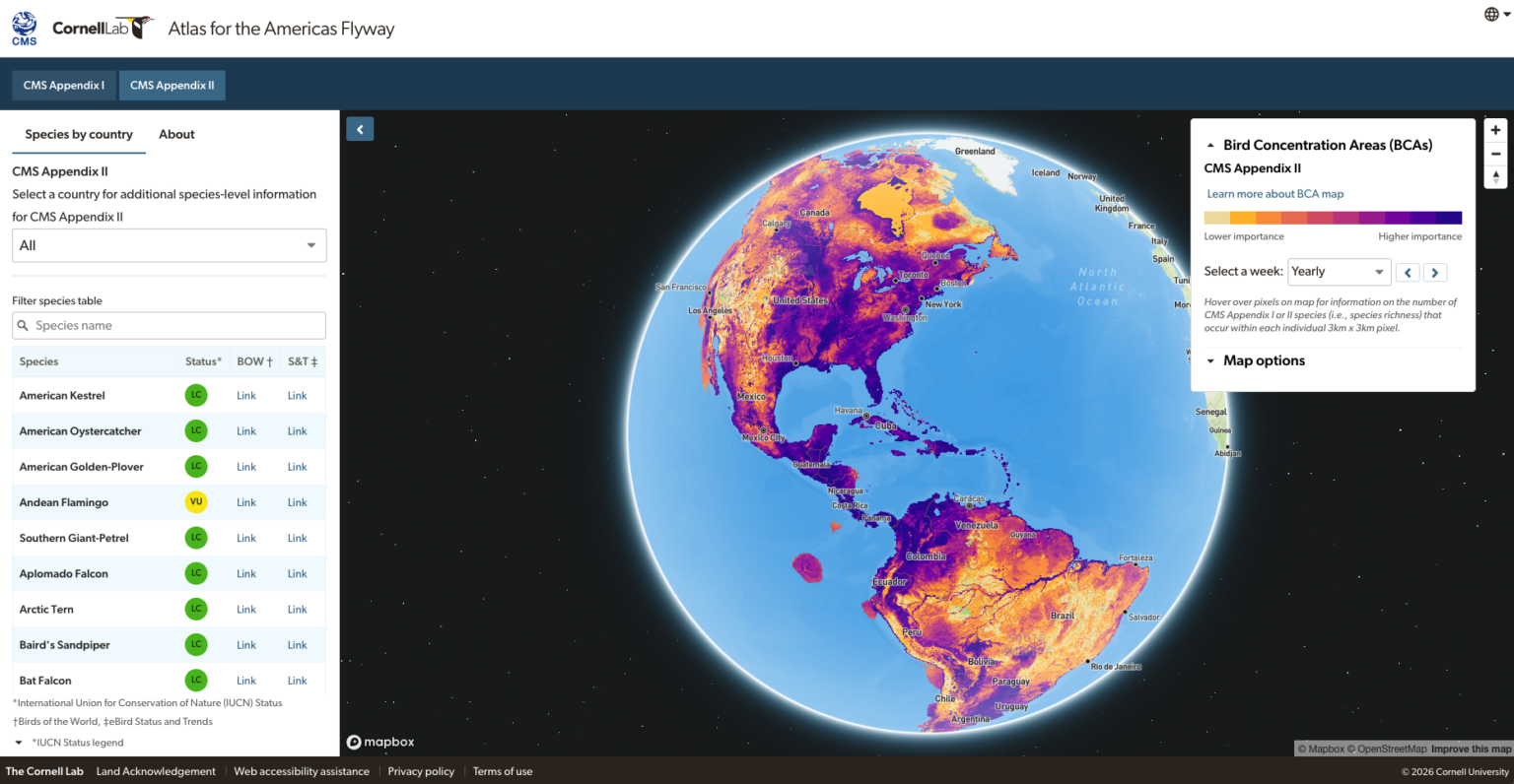 A New Atlas Maps the Invisible Journeys of Migratory Birds Across the ...